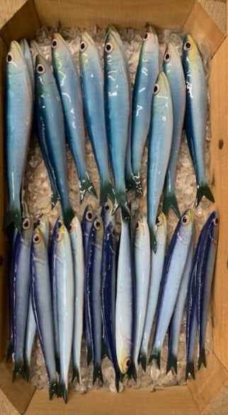 Anchovy | Ceramic Marine Art from Sicily – The Shoal